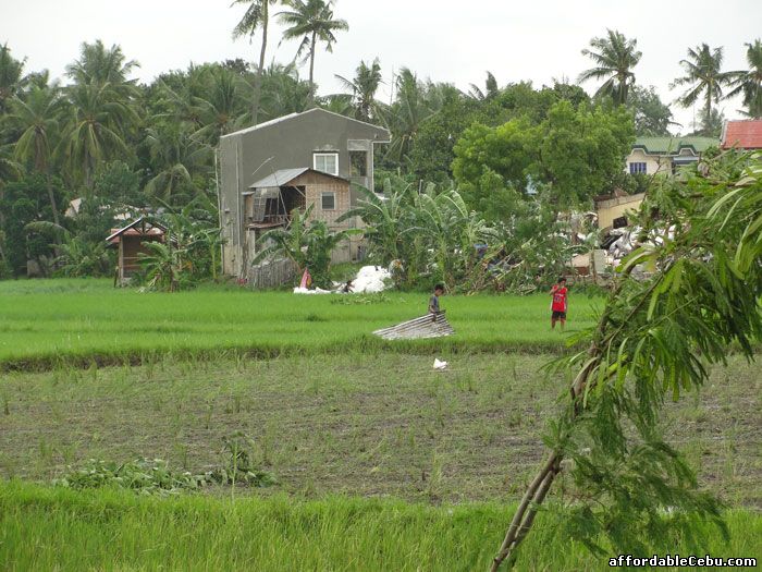 Watch Video: Caught in the Act Buhawi (Tornado) Destroys Houses and ...
