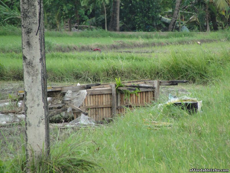 Watch Video: Caught in the Act Buhawi (Tornado) Destroys Houses and ...